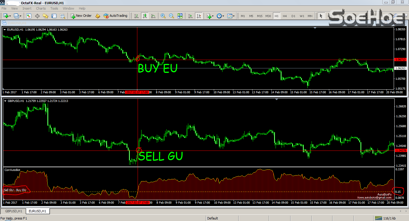 Profit | Traders Forex Forum - Robot Forex Learning Center